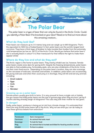 Arctic and Antarctic Explorers Display | Science, Maths, English and ...