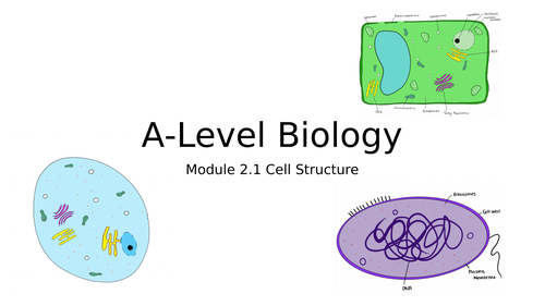 2.1 Cell Structure OCR A-Level Biology COMPLETE LESSON | Teaching Resources