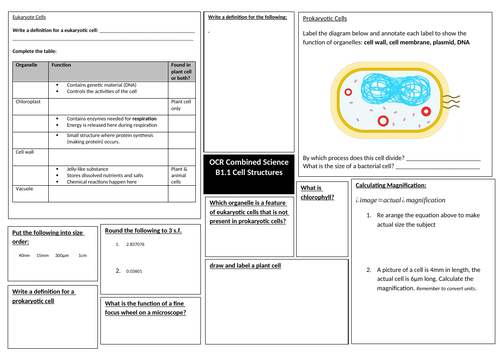 OCR Combined Science Biology B1.1 Cell Structures revision mat | Teaching Resources