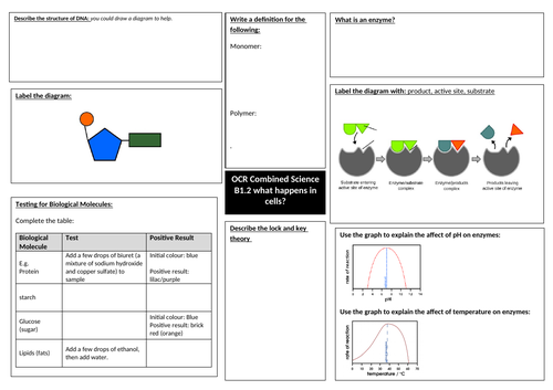 OCR Combined Science Biology B1.2 what happens in cells? revision mat | Teaching Resources