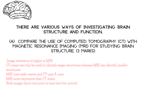 The Nervous System and Neurones Bundle | Teaching Resources