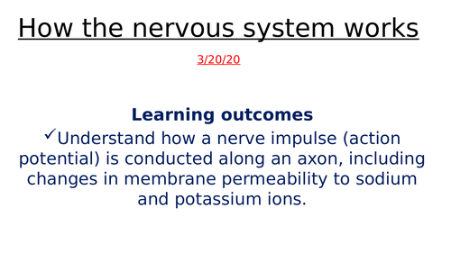 The Nervous System and Neurones Bundle | Teaching Resources