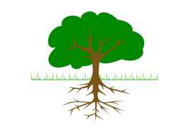 Eduqas Religious Studies Route A C3: Islam Beliefs and Teachings - 2 ...