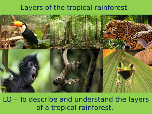 Ecosystems and the Living World | Teaching Resources