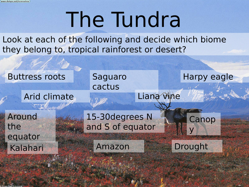 Ecosystems and the Living World | Teaching Resources