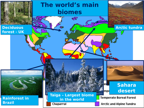 Ecosystems and the Living World | Teaching Resources