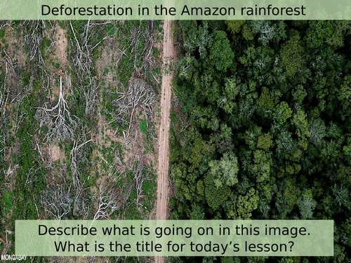 Ecosystems and the Living World | Teaching Resources