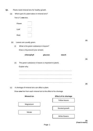 B3 Infection and Response - AQA GCSE Biology (9-1) | Teaching Resources