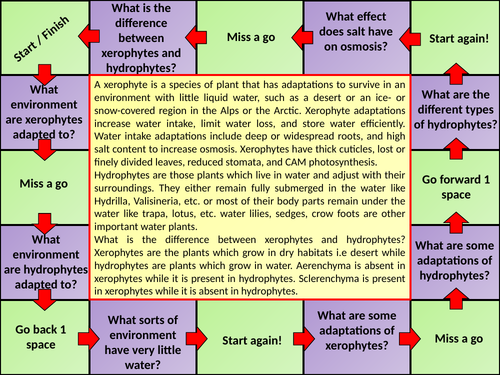 A Level Biology Plant Adaptations to Water Availability Lesson ...