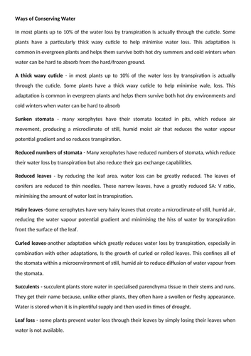 A Level Biology Plant Adaptations to Water Availability Lesson ...