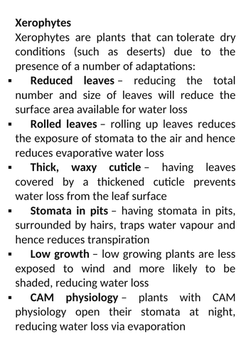 A Level Biology Plant Adaptations to Water Availability Lesson ...