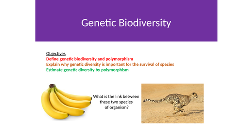 Genetic Diversity and Polymorphism | Teaching Resources
