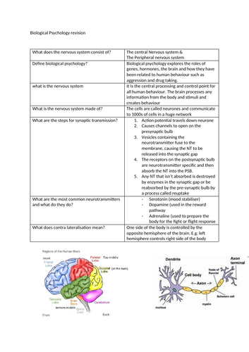 Biological Psychology Q&A revision notes | Teaching Resources