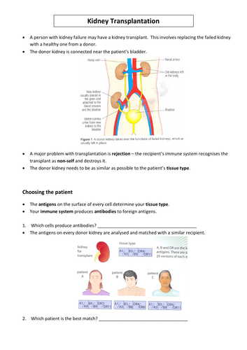 B5 Homeostasis and Response - AQA GCSE Biology (9-1) | Teaching Resources