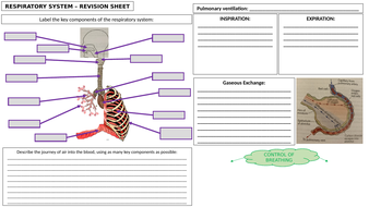 Respiratory system revision sheet - BTEC National Sport Unit 1 ...