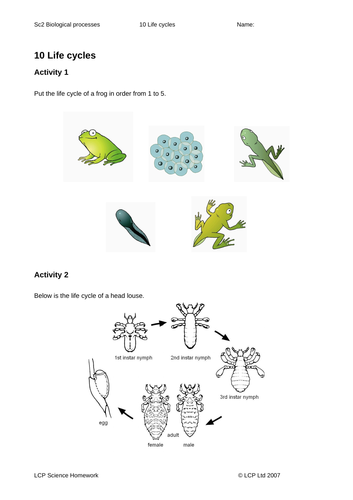 Year 5/6 Science Home Learning Mini-pack Coronavirus | Teaching Resources