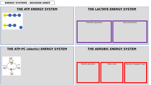 Energy systems revision sheet - BTEC National Sport Unit 1 - Anatomy & Physiology - Topic E ...