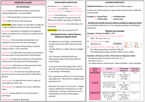 AQA A-LEVEL BIOLOGY - Inheritance Revision | Teaching Resources