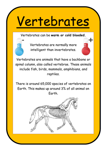 Science - Animal Groups Display Posters! | Teaching Resources