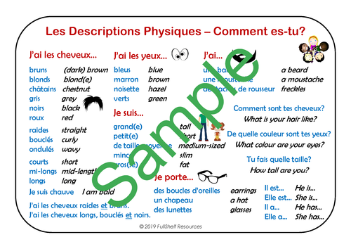 French Physical Descriptions Worksheets | Teaching Resources
