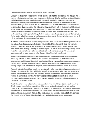 Psychology Attachment 16 Marker Example Essay Bundle | Teaching Resources