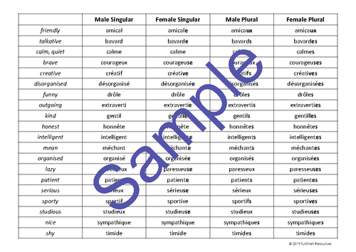 French Describing Character Worksheets | Teaching Resources