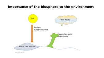 Importance of biosphere to the environment | Teaching Resources