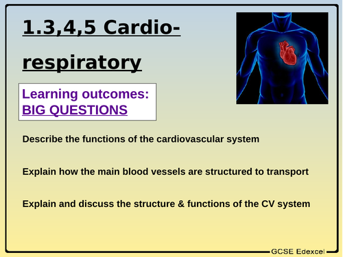 OCR CAMB TECHNICALS HEALTH AND SOCIAL CARE UNIT 4 ANATOMY & PHYSIOLOGY ...