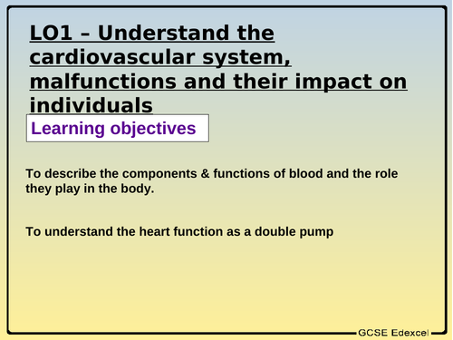 OCR CAMB TECHNICALS HEALTH AND SOCIAL CARE UNIT 4 ANATOMY & PHYSIOLOGY ...