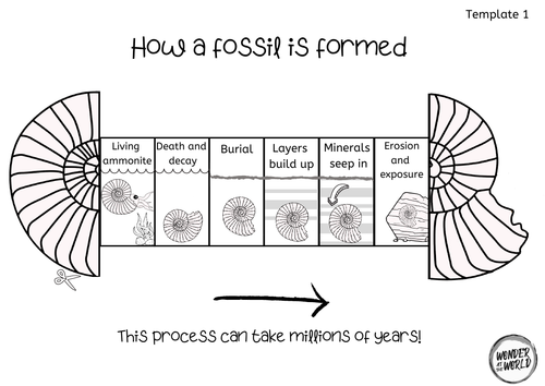 How A Fossil Is Formed Folding Craft Ks2 Teaching Resources