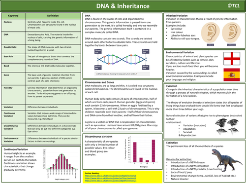 KS3 Science Knowledge Organiser Bundle | Teaching Resources