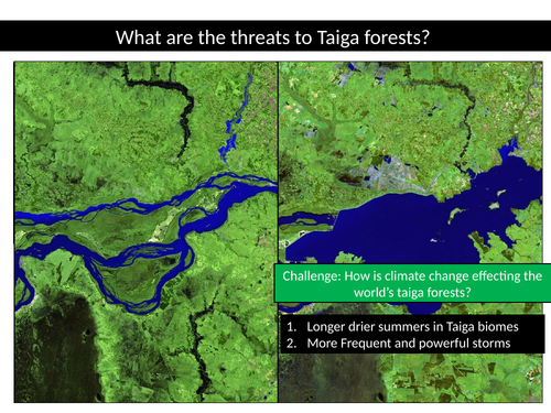 Forest Under Threat | Teaching Resources
