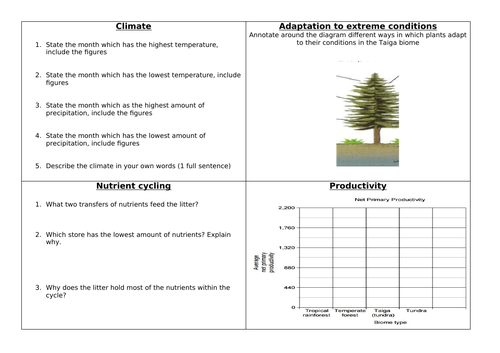 Forest Under Threat | Teaching Resources