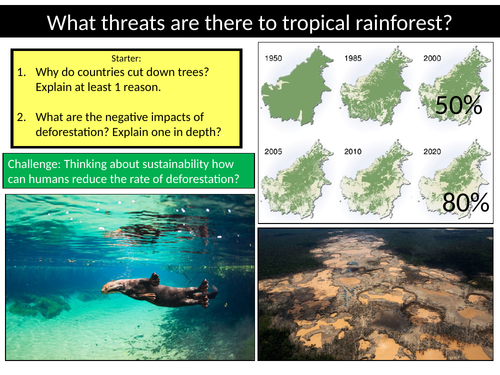 Forest Under Threat | Teaching Resources