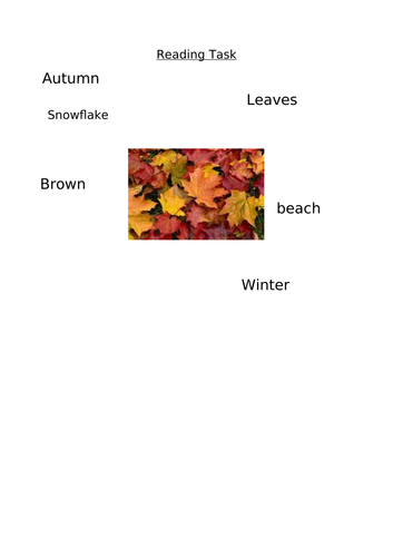 Reading Comprehension Autumn | Teaching Resources
