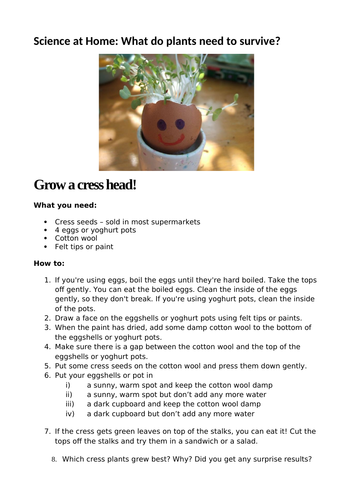 Plants: Cress experiment to carry out at home | Teaching Resources