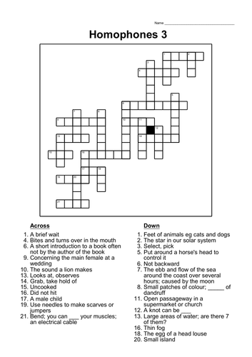 Homophone Crosswords and Word Searches | Teaching Resources