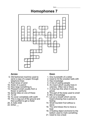 Homophone Crosswords and Word Searches | Teaching Resources