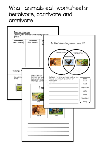 Animal diets: Carnivore, Herbivore and Omnivore KS1 | Teaching Resources