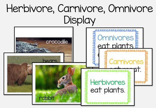 Animal diets: Carnivore, Herbivore and Omnivore KS1 | Teaching Resources