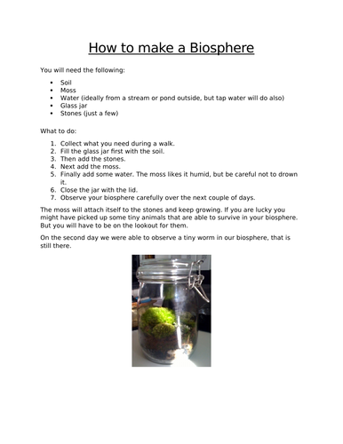 How to make your own terrarium | Teaching Resources