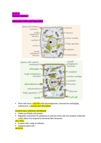 OCR Alevel Biology Module 2 Notes | Teaching Resources