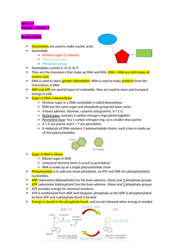 OCR Alevel Biology Module 2 Notes | Teaching Resources