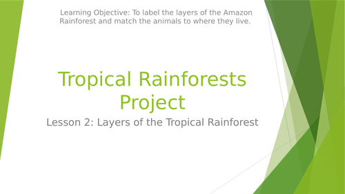 The Amazon Rainforest | Teaching Resources