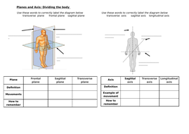 Planes and Axis | Teaching Resources