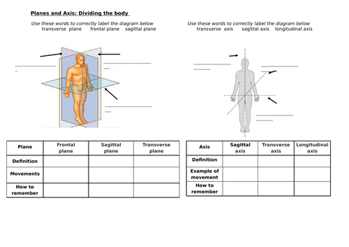 Longitudinal Axis Movement