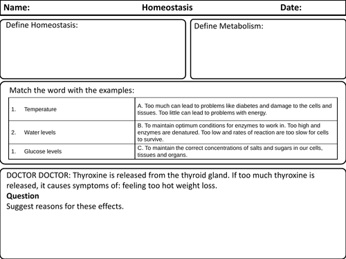 KS4 Revision Worksheets: Homeostasis | Teaching Resources