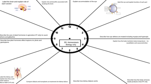aqa Biology revision clocks paper 2 and required practicals | Teaching ...