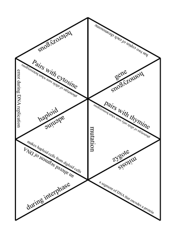 Genetics Tarsia Puzzle | Teaching Resources