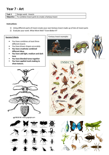 Art - Insects | Teaching Resources